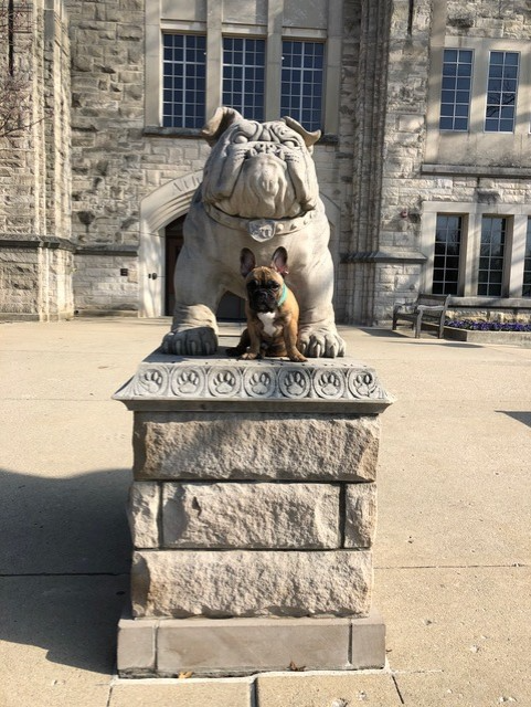 Frankie | The Butler Collegian